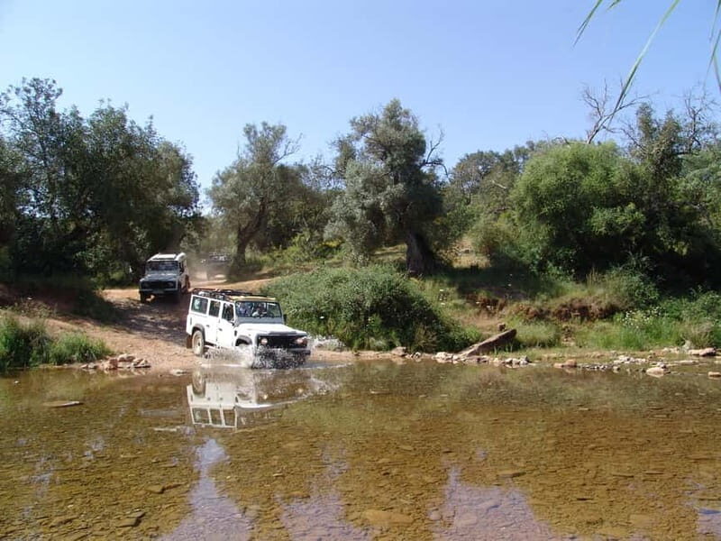 Albufeira: 6 Hour Jeep Tour with Lunch - Is It Worth the Price?