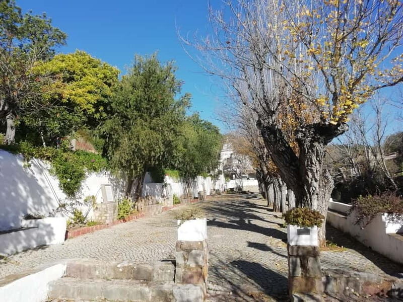 Albufeira: 6 Hour Jeep Tour with Lunch - Who Should Consider This Tour?