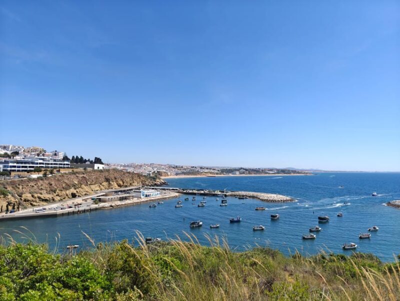 Albufeira: Albufeira Marina & west coast Tour 1.5h - Who Is This Tour Best For?