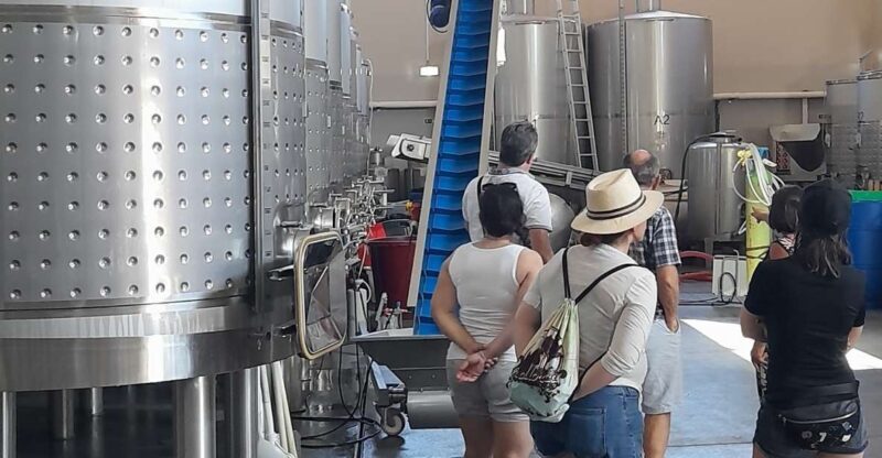 Albufeira: Algarve Coast Guided Tour with Wine Tasting - Breaking Down the Experience: An In-Depth Look