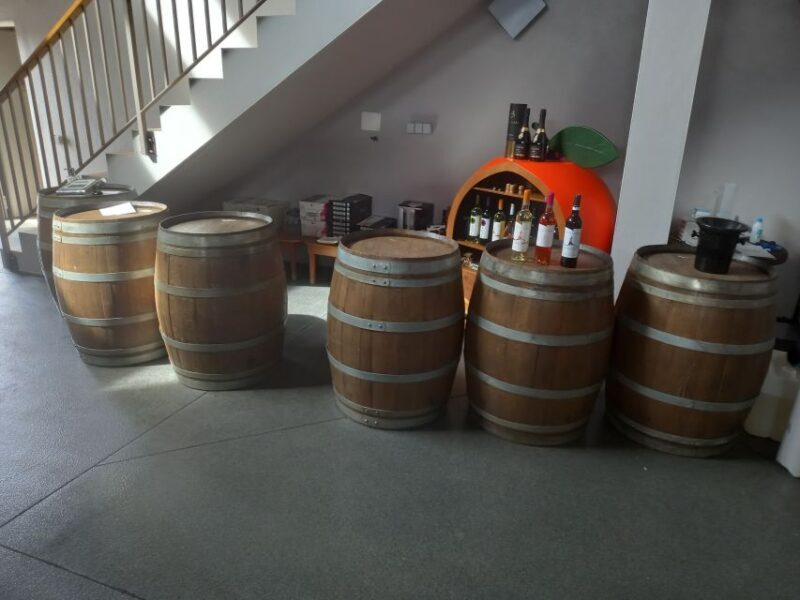 Albufeira: Algarve Coast Guided Tour with Wine Tasting - Final Thoughts: Who Should Opt for This Tour?