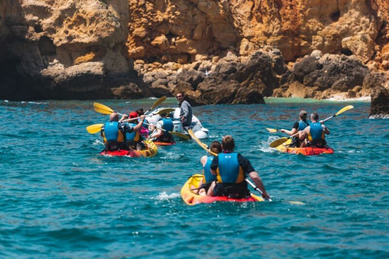 Albufeira: Algarve Kayak and Coastline Tour - The Experience’s Strengths