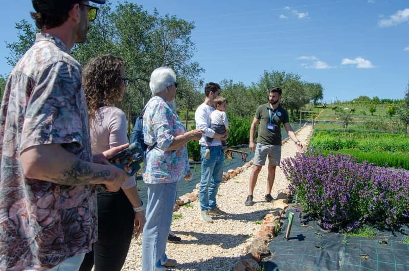 Albufeira: Algarve Traditions & Food Tasting - FAQ about the Algarve Traditions & Food Tasting Tour