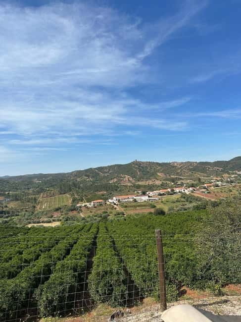 Albufeira: Alte, Paderne, and Messines Jeep Safari Tour - Key Points