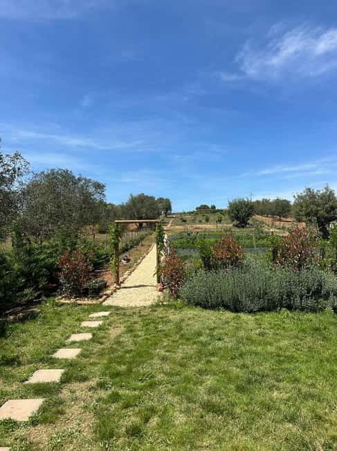 Albufeira: Alte, Paderne, and Messines Jeep Safari Tour - FAQ