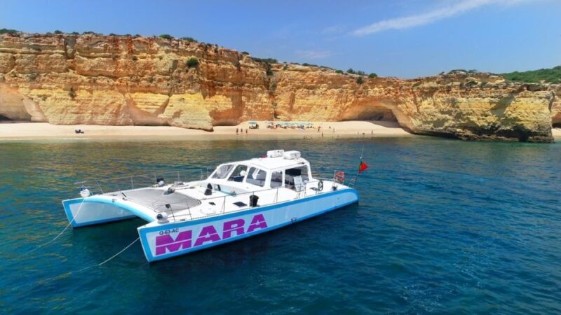 Albufeira: Catamaran Cruise with BBQ & Open Bar on the Beach - A Detailed Look at the Experience