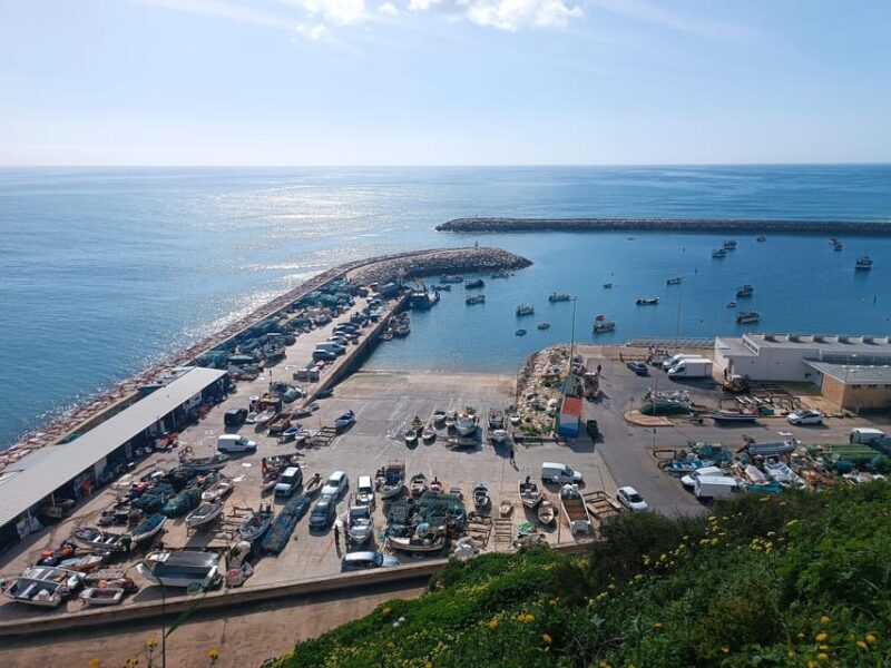 Albufeira: City Highlights & WINE TASTING - The Sum Up