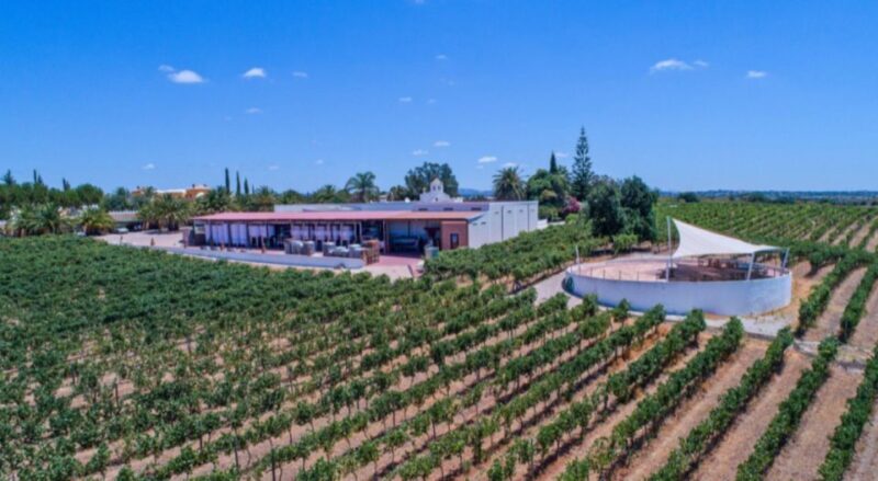 Albufeira Coast Tour, Winery & Chicken lunch - Practical Tips for Travelers