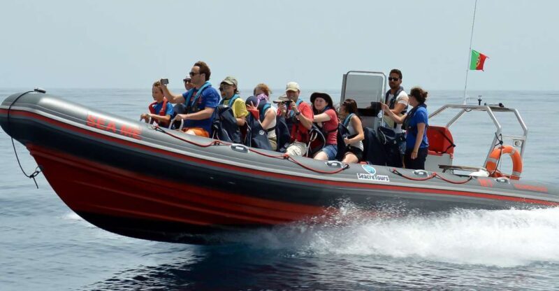 Albufeira: Dolphin Watching and Benagil Cave Boat Cruise - An In-Depth Look at the Tour Experience