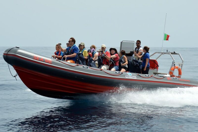Albufeira: Dolphin Watching and Benagil Cave Boat Cruise - Final Thoughts: Is This Tour Worth It?