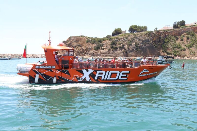 Albufeira: Dolphin Watching and Benagil Cave - The Value of This Experience