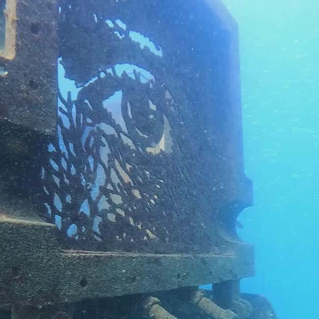 Albufeira: Double Ocean Dive for Certified Divers - Discovering the Algarve’s Underwater Majesty