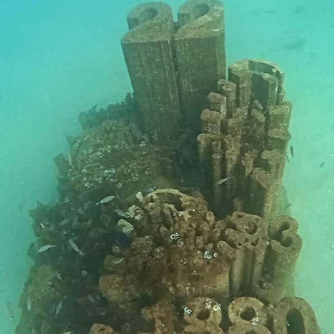 Albufeira: Double Ocean Dive for Certified Divers - The Practicalities: Logistics, Group Size, and Timing