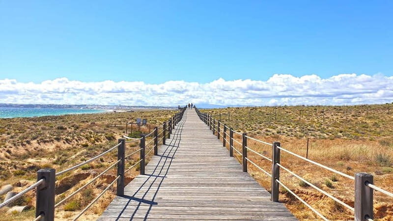 Albufeira: E-Bike Rentals with Hotel Pick Ups - Who Is This Tour Best For?