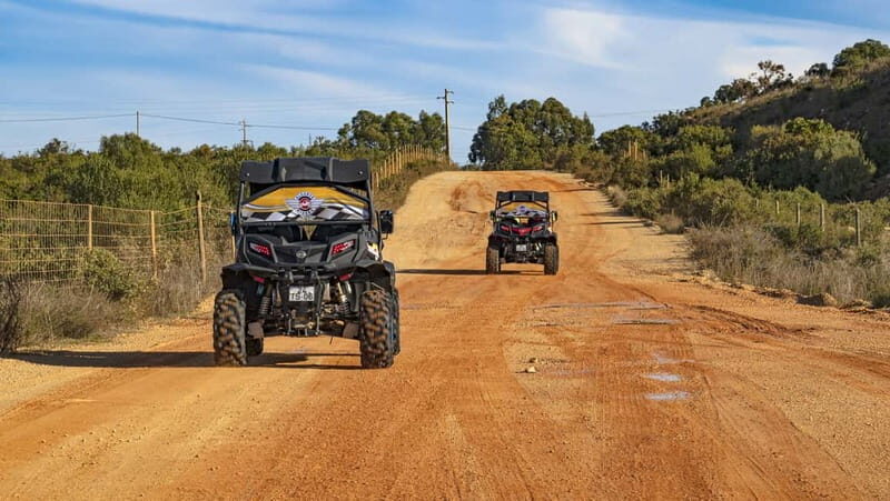 Albufeira: Full-Day Buggy Driving Tour with Lunch Included - Authentic Guides and Genuine Experiences