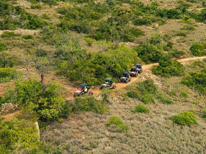 Albufeira: Full-Day Buggy Driving Tour with Lunch Included - Practical Details and Tips