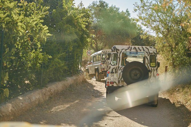Albufeira Jeep Safari Full Day (PRIVATE TOUR) - A Detailed Look at the Algarve Jeep Safari