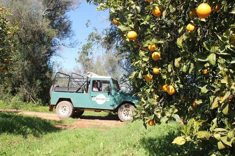 Albufeira Jeep Safari with Zoo - Authentic Experiences and Practicalities