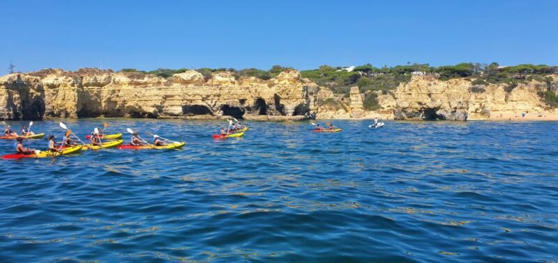 Albufeira Marina: Benagil Cave to Marinha Beach Kayak Tour - Why Choose This Tour?