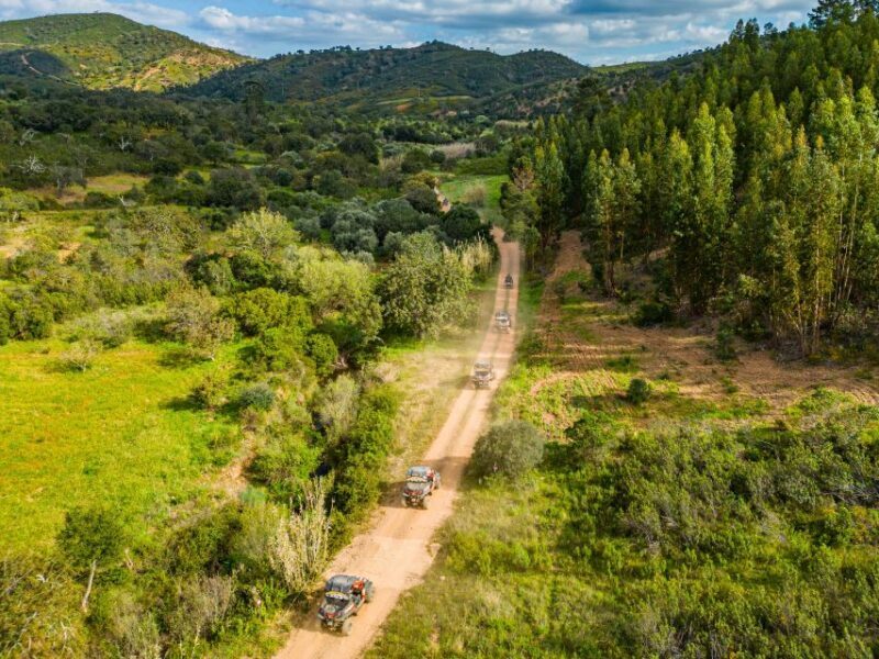 Albufeira: Off-Road Buggy Adventure - What Makes This Tour Stand Out?