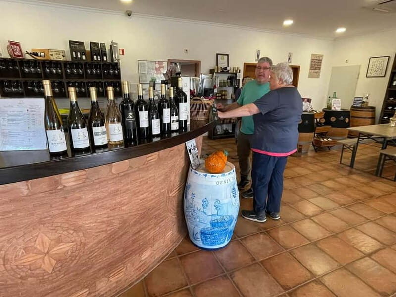 Albufeira, Olhão, Faro: visit to a vineyard, free time in Silves - The Sum Up