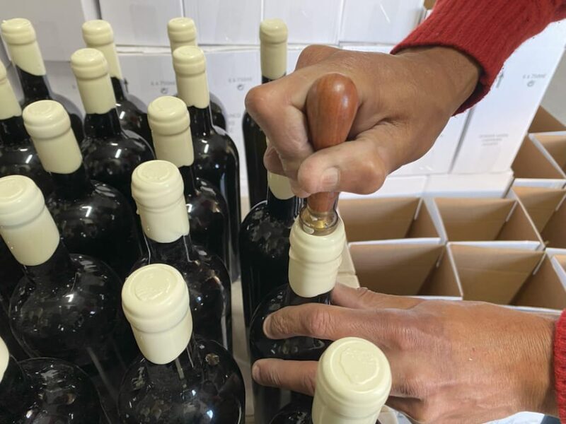 Albufeira/Porches/Vilamoura: Wine Tasting with Tapas & Music - Who Should Consider This Tour?