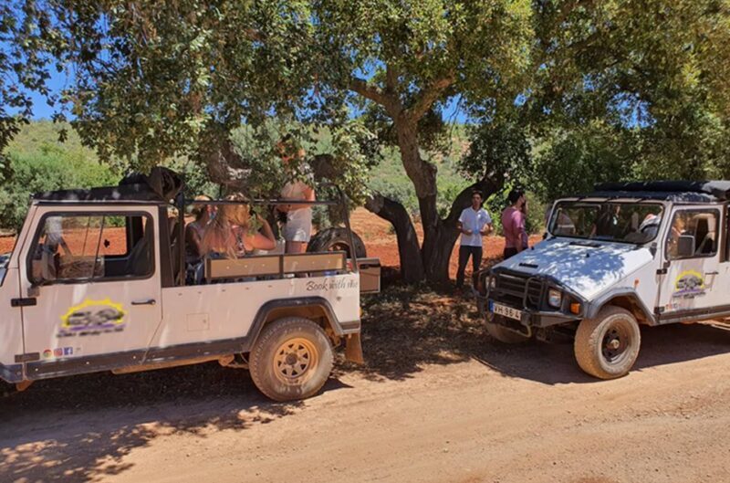 Albufeira: Safari Excursion in the Algarve Mountains - Is It Worth the Price?