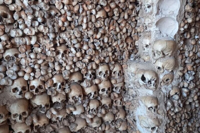 Albufeira Safari with entrance in Krazy World & Bone Chapel - Practical Details and Tips