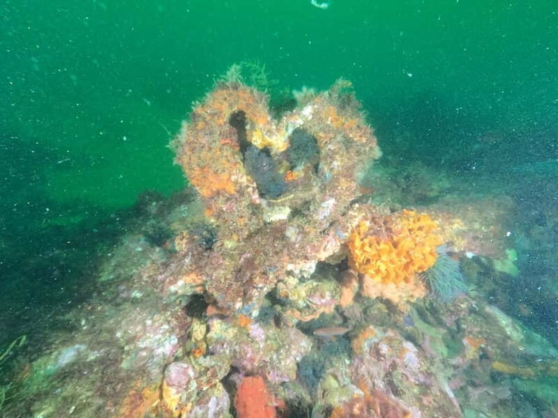 Albufeira: Scuba Diving Experience for Beginners - Practical Considerations for Travelers