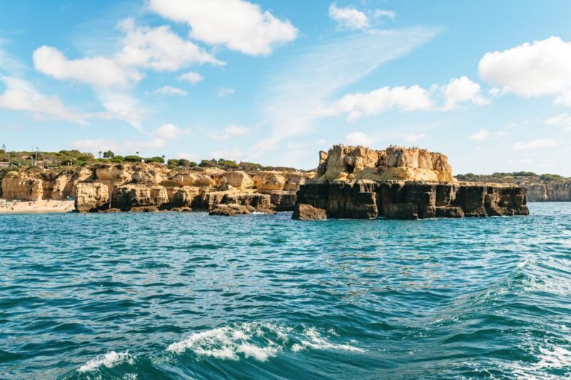 Albufeira: Sightseeing Cruise with Beach BBQ and Open Bar - What to Expect on the Cruise