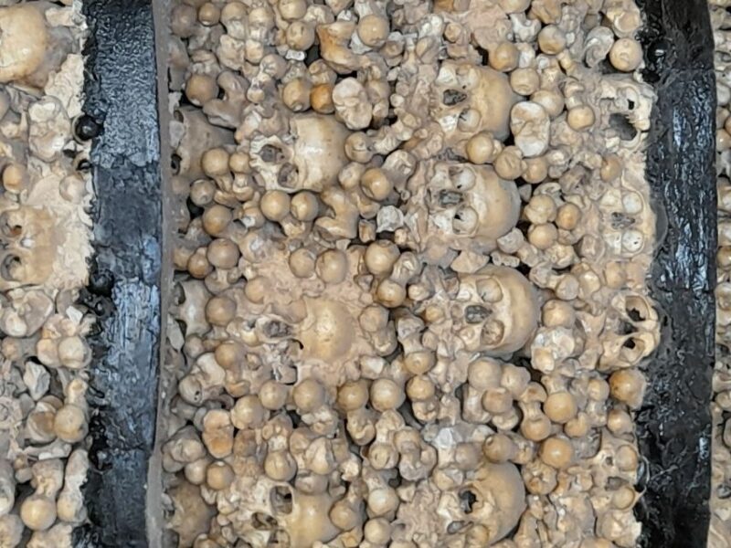 Albufeira: Silves Castle and Chapel of Bones, and Benagil - FAQs