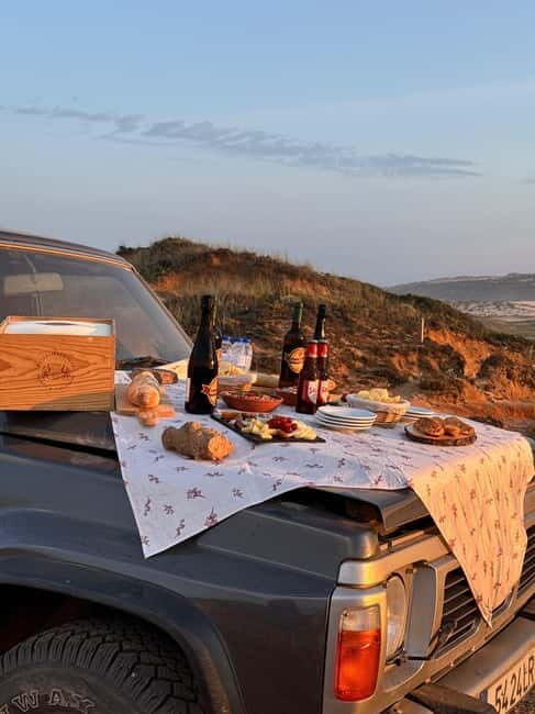 Albufeira: Vicentina Coast Tour with Lunch and Sunset Picnic - Who This Tour Is Best For