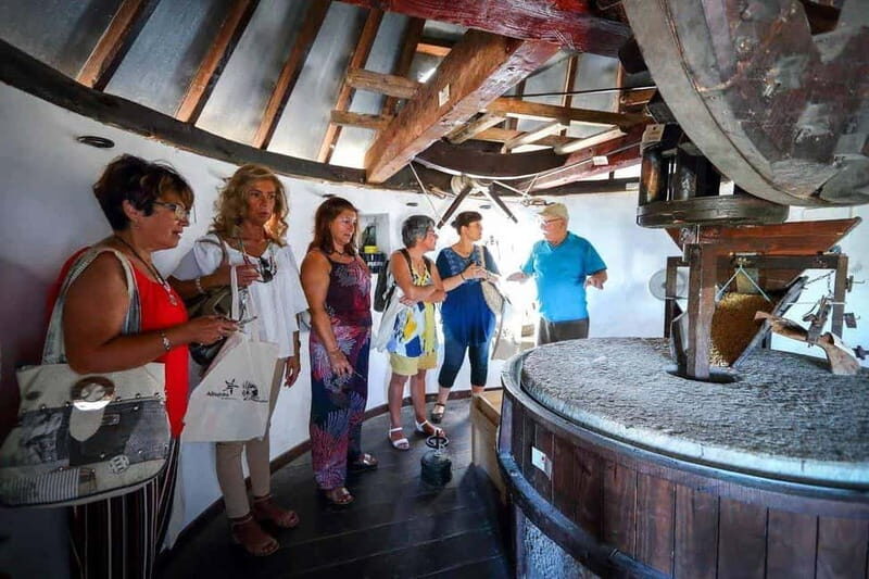Albufeira: Wine Tasting Tour with Castle and Windmill Visit - An In-Depth Look at the Tour Itinerary and Experience