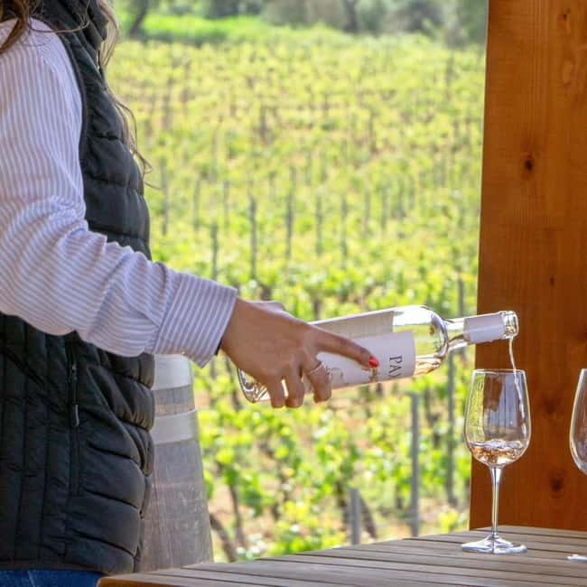 Albufeira: Wine Tasting Tour with Castle and Windmill Visit - FAQs