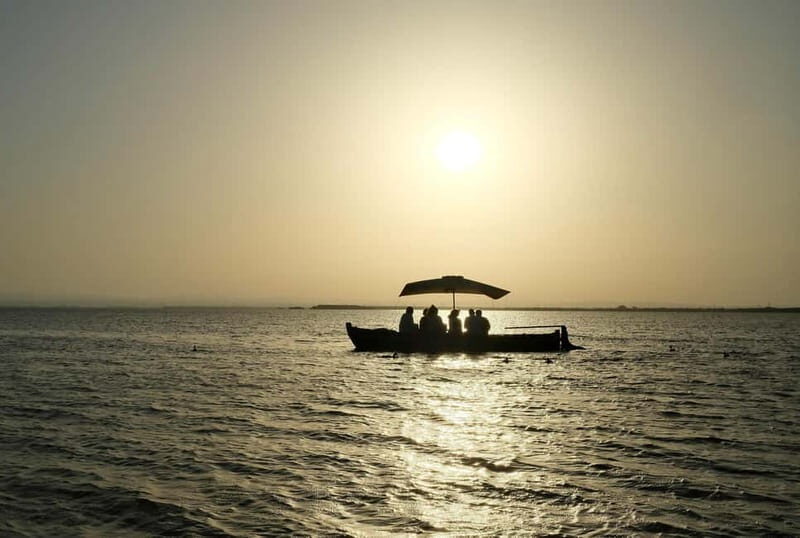 Albufera Bike Adventure: Wetlands, Beaches & Biodiversity - Discovering the Albufera Wetlands by Bike: An Authentic Eco-Experience in Valencia
