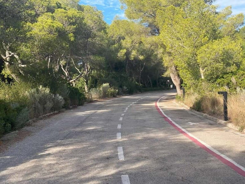 Albufera Bike Adventure: Wetlands, Beaches & Biodiversity - Key Points