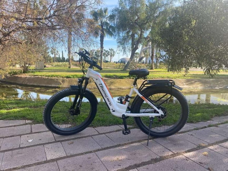Albufera Bike Adventure: Wetlands, Beaches & Biodiversity - Who Will Love This Tour?