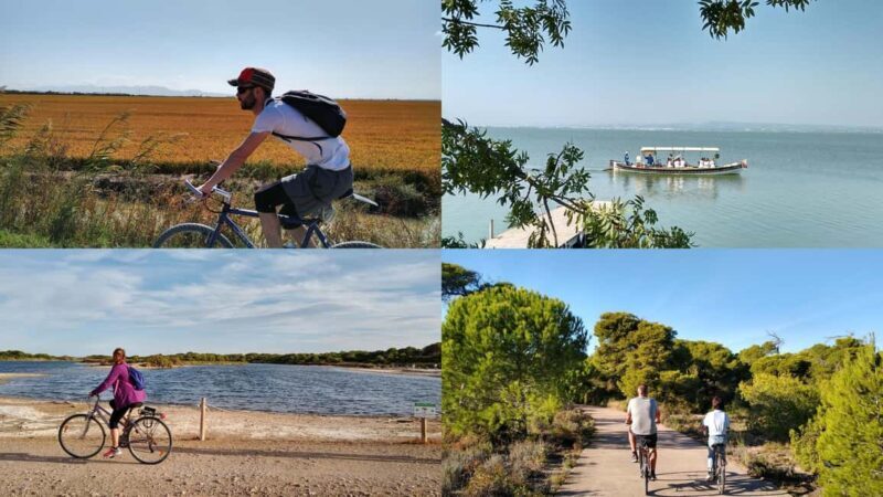 Albufera Complete Bike Tour-Rice Fields, Lake, Boat & Paella - Who Will Love This Tour?