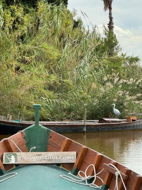 Albufera de Valencia: Guided boat ride through the Albufera - Discovering the Albufera: What to Expect