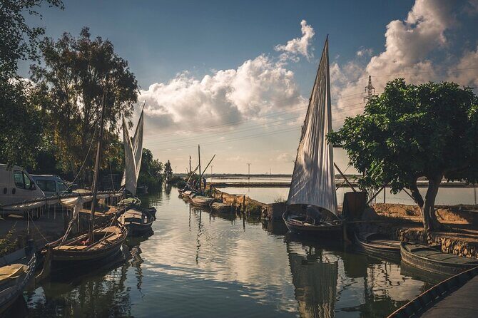 Albufera Natural Park with a Boat Tour from Valencia - An In-Depth Look at the Tour Experience