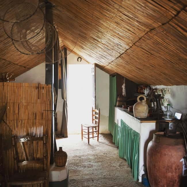 Albufera of Valencia: boat ride and visit to the barraca - Key Points