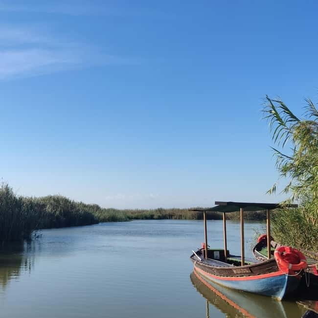 Albufera of Valencia: boat ride and visit to the barraca - A Scenic Journey into Nature and Culture