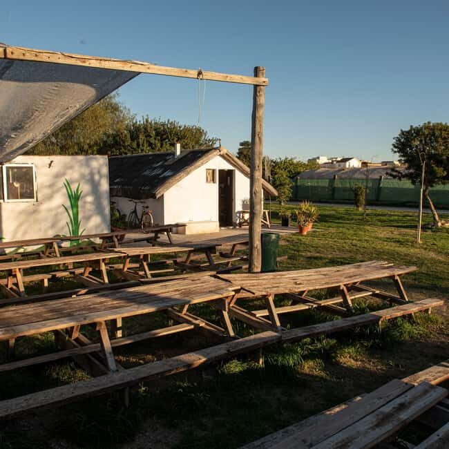 Albufera: Sunset and visit to the barraca - Why This Tour Is Worth Considering