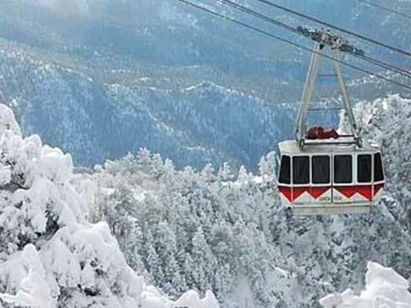 Albuquerque: Sandia Peak Snowshoe Tour with Tram Ride - The Snowshoe Trek: What You Can Expect