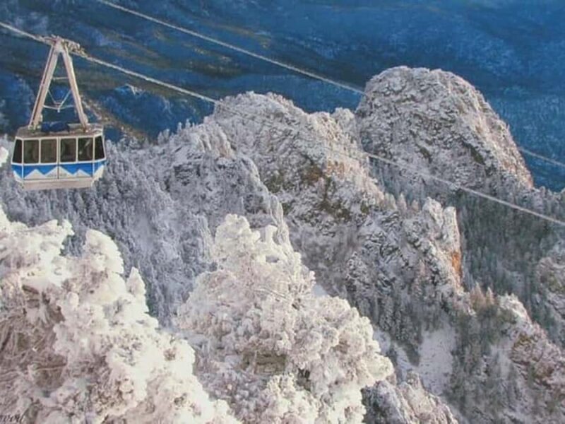 Albuquerque: Sandia Peak Snowshoe Tour with Tram Ride - Authentic Reviews and Real Perspectives