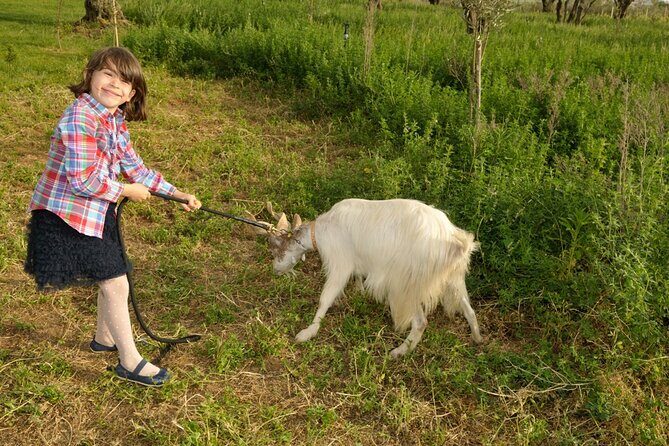Alcamo Farm Animals and Aromatic Garden - A Closer Look at the Experience