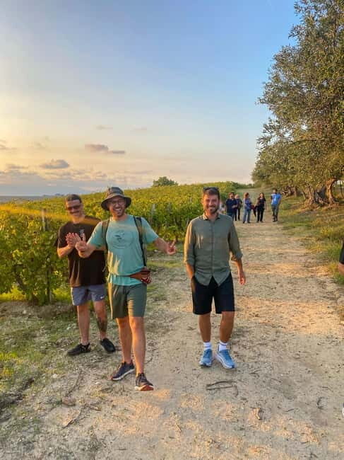 Alcamo: Natural Wine & Olive Oil Tasting - Sicily - Key Points
