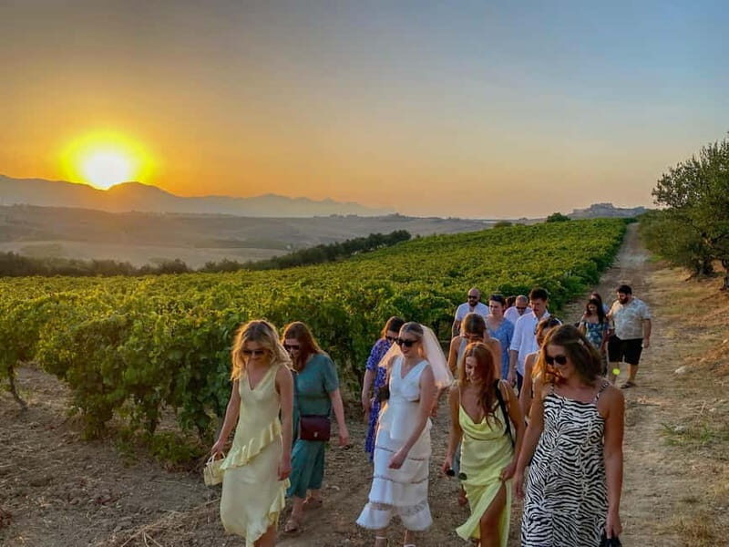 Alcamo: Natural Wine & Olive Oil Tasting - Sicily - Value and Practical Tips