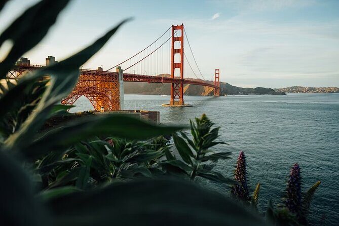 Alcatraz Island Tour Package - What’s Included and What to Expect
