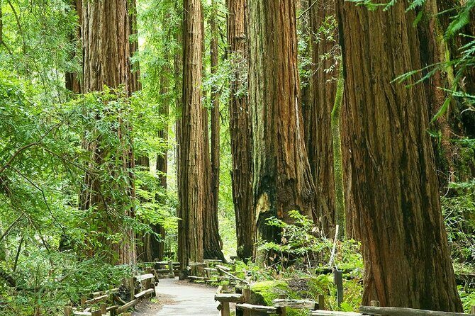 Alcatraz Muir Woods and Sausalito Express with Brunch Credit - FAQ